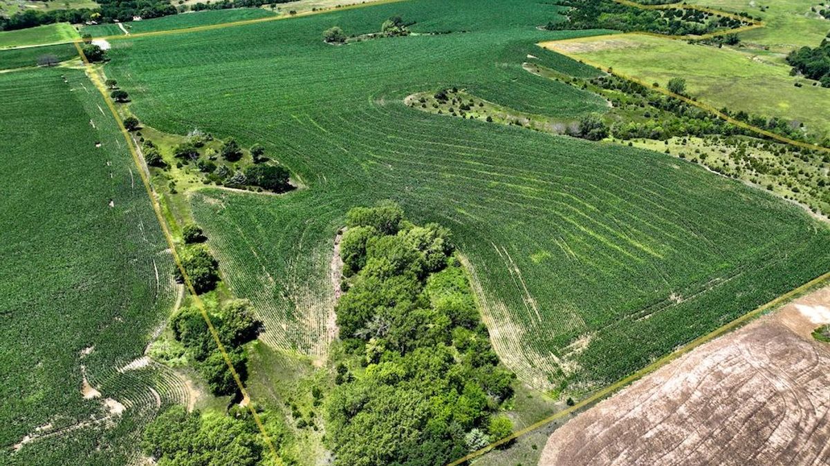 Tillable And Recreational Near Lovewell Reservoir | Whitetail Properties