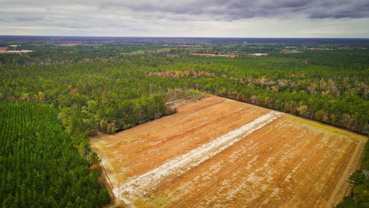 Black Creek Farm With Gated Tree-Lined Driveway | Whitetail Properties