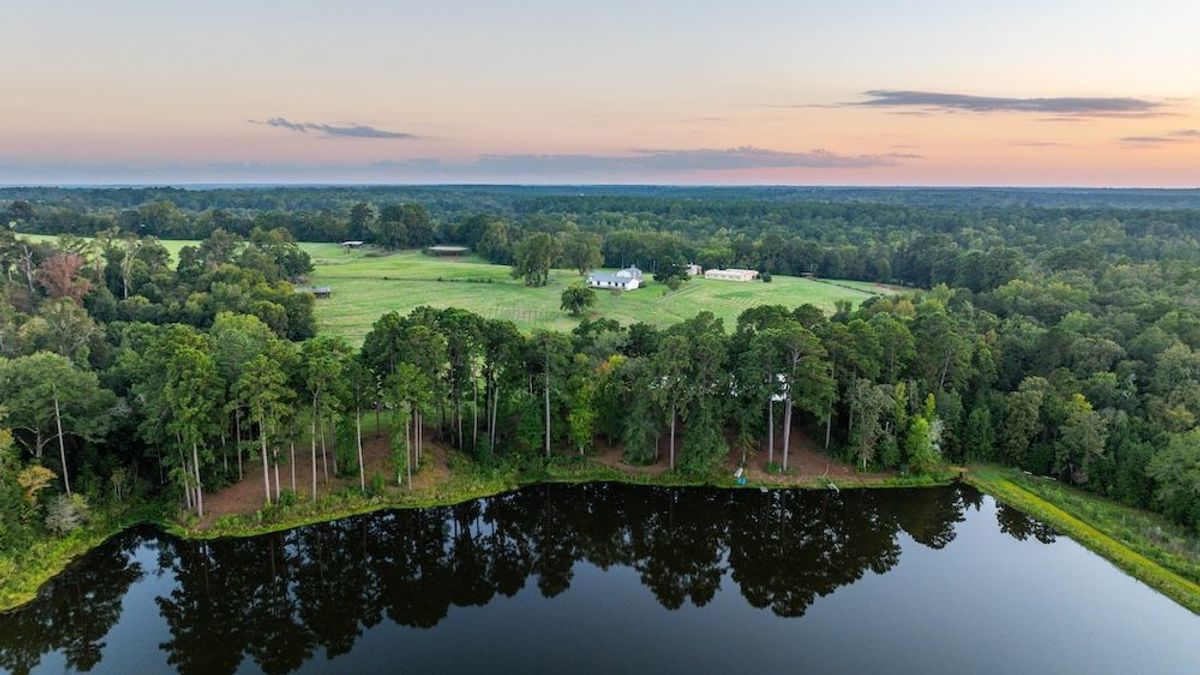 Sparrow Tree Ranch | Whitetail Properties