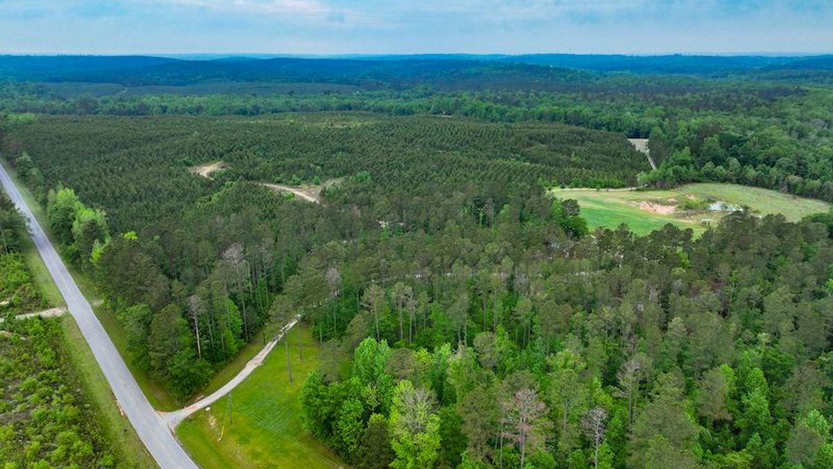 Porter Creek Plantation | Whitetail Properties