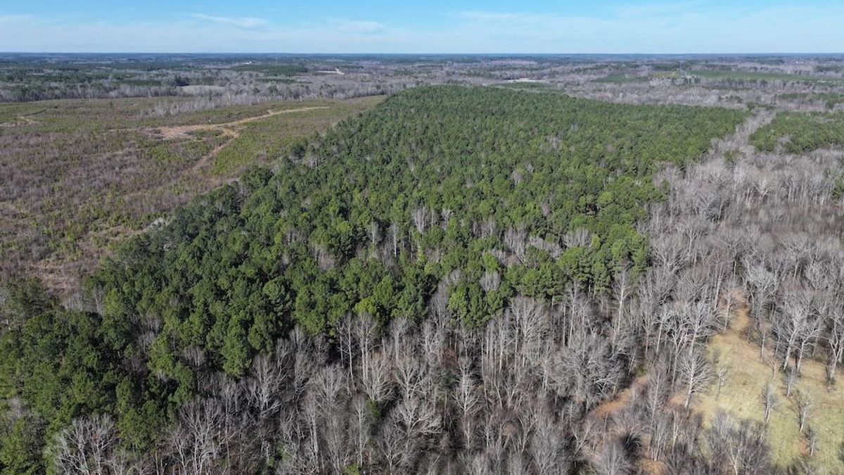 Private Compound Or Recreational Getaway Awaits | Whitetail Properties