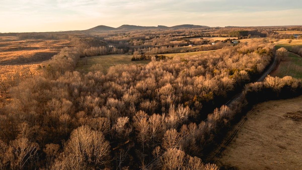Hunter’s Paradise On The Willis River | Whitetail Properties