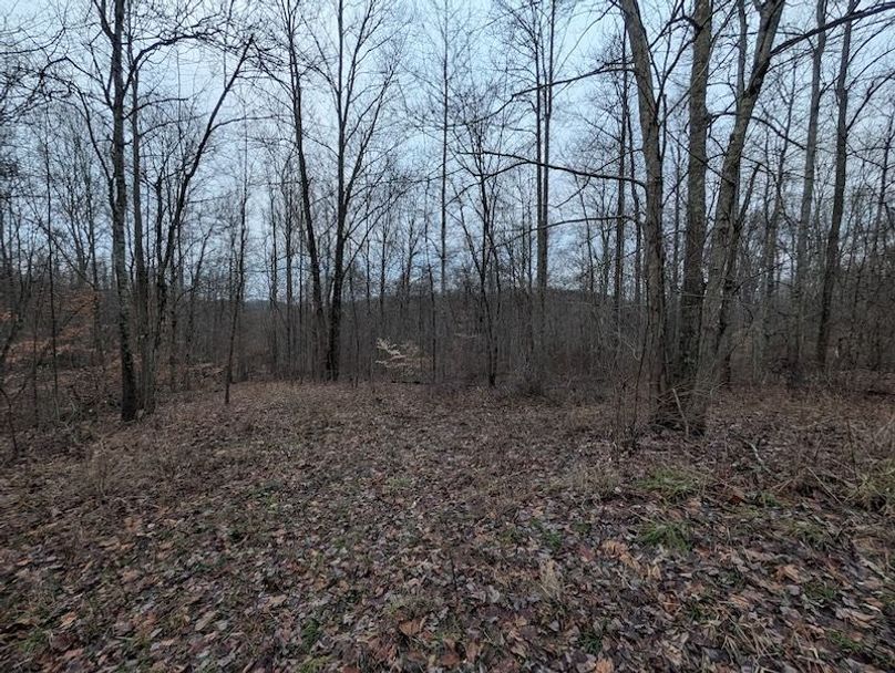 Turn-key Hunting Property With Comfortable Cabin In Southern Belmont ...