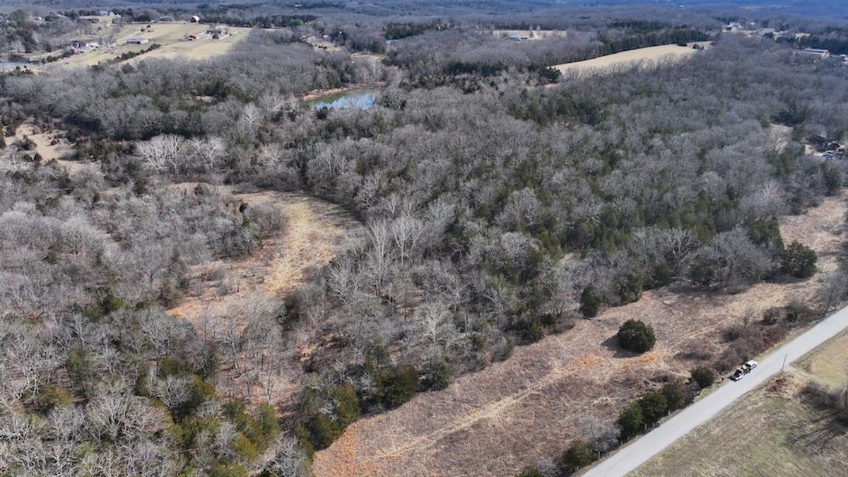 Prime Deer Hunting Property With Pond, Creek, And Build Sites ...