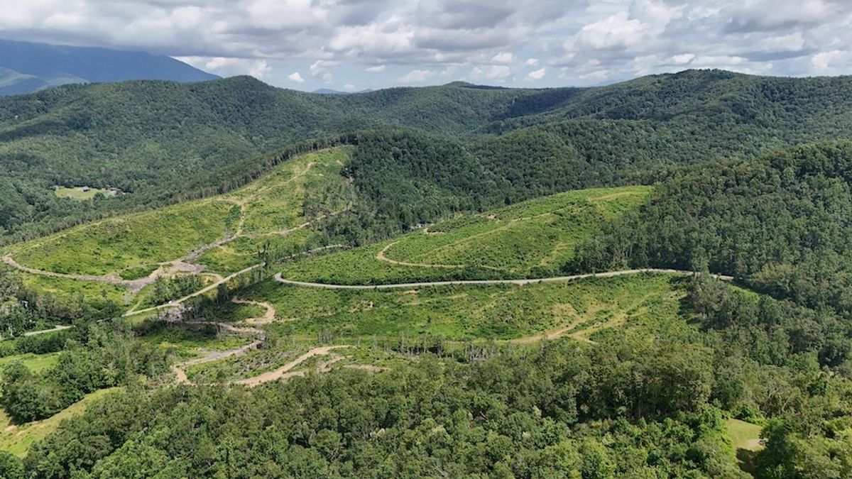 Private Mountain Acreage Bordering The Blue Ridge Parkway | Whitetail ...