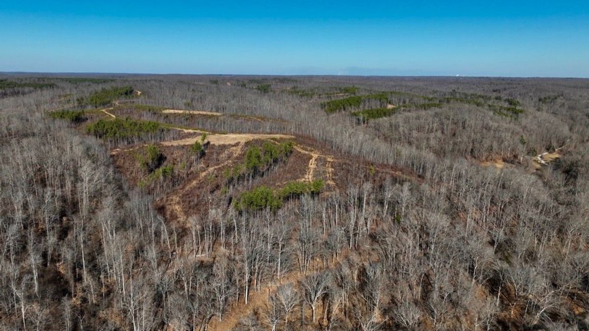All-Timber Hunting Tract - Tract 11 | Whitetail Properties