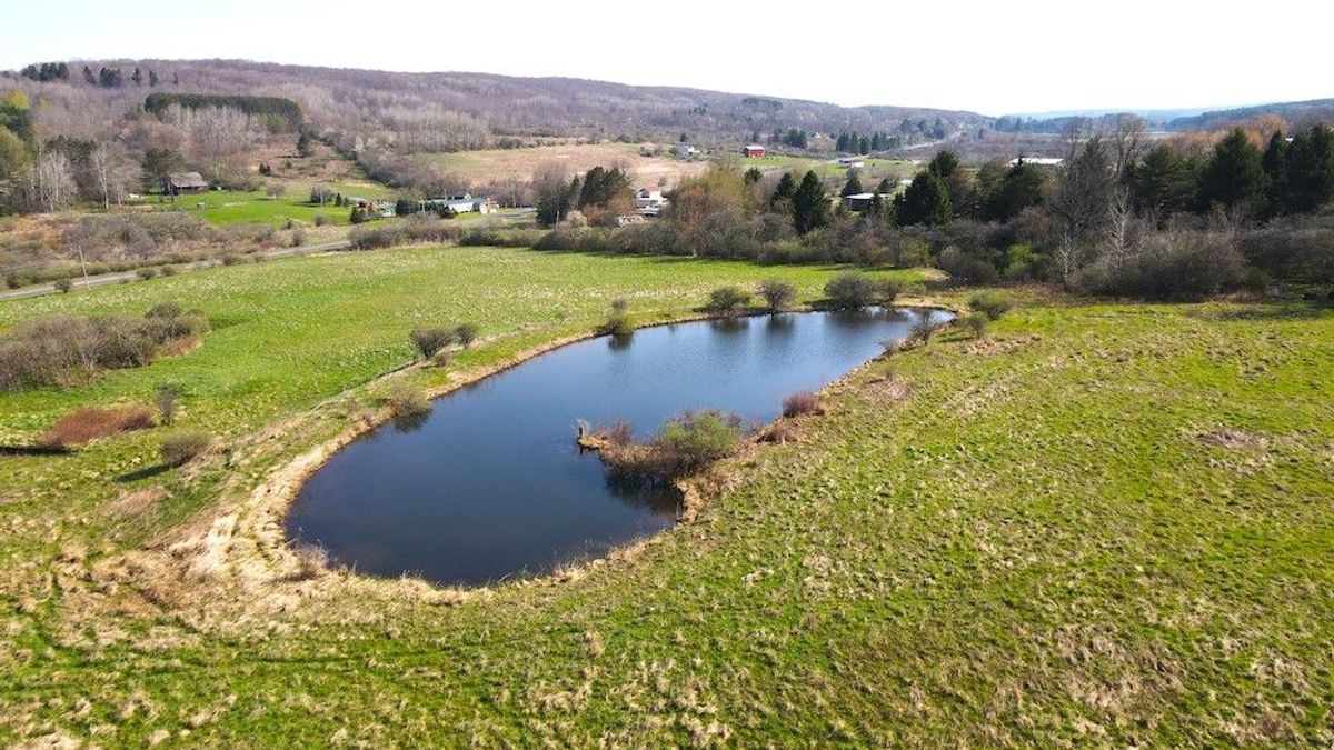 Excellent Hunting Property, Building Locations, Plots & Pond ...