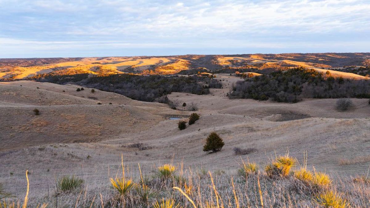 Secluded Hunting Property Near Whetstone Bay | Whitetail Properties