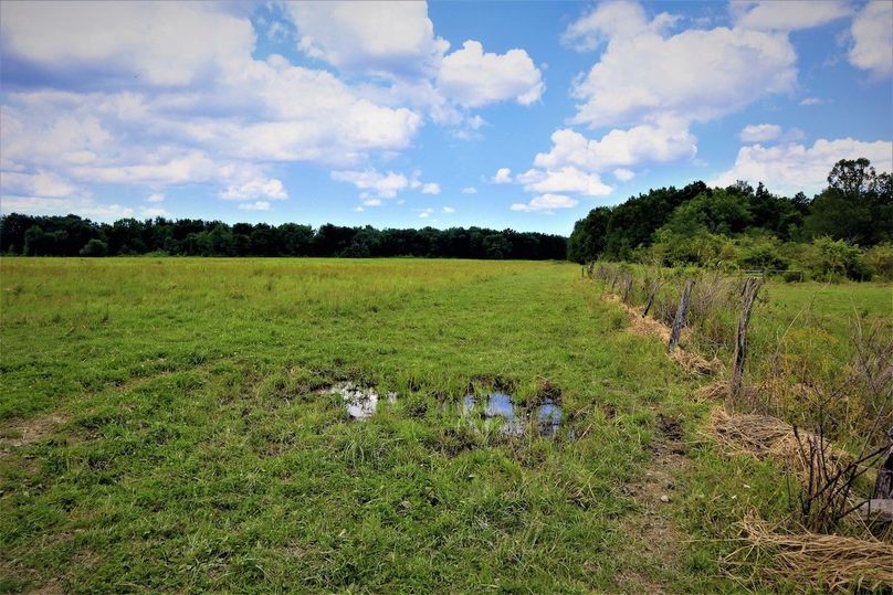 Beautiful AG Fields On Clear Creek In Conewango Valley | Whitetail ...