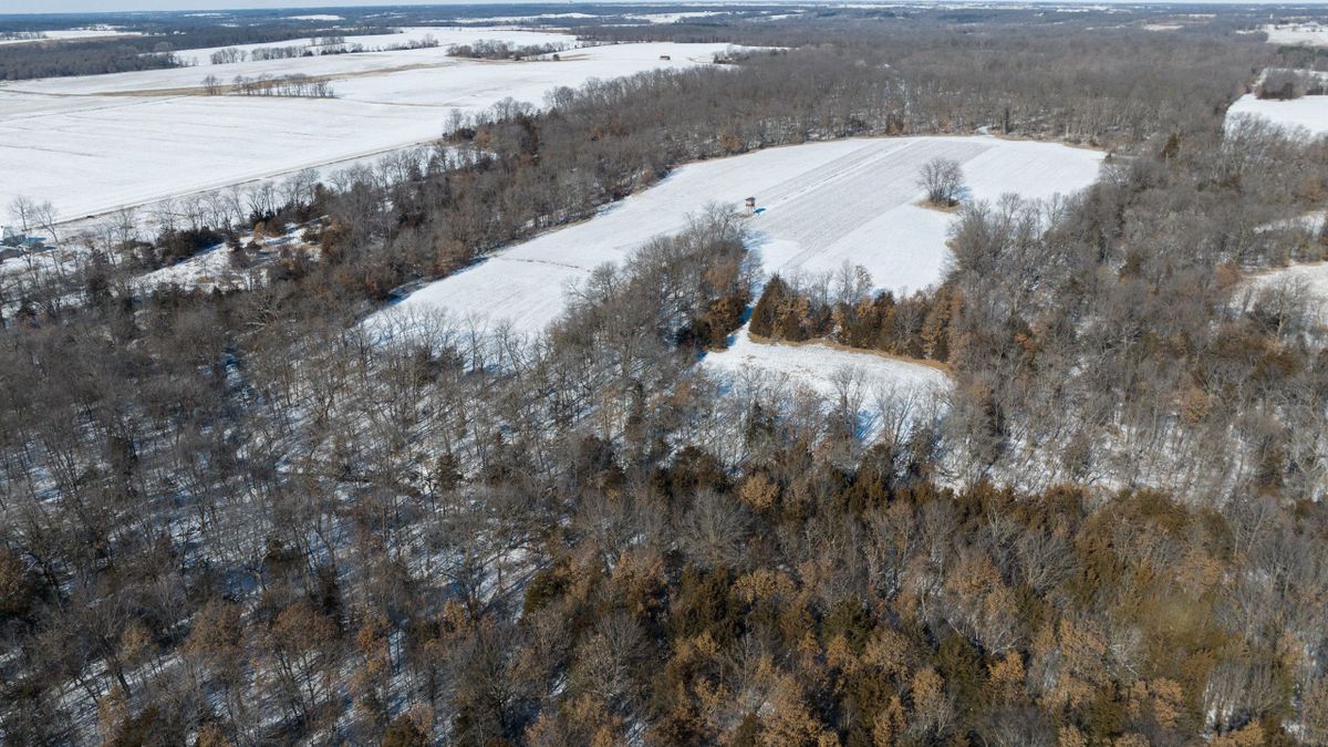 Potent Hunting Farm With Thick Cover, Creek, And Secluded Fields ...