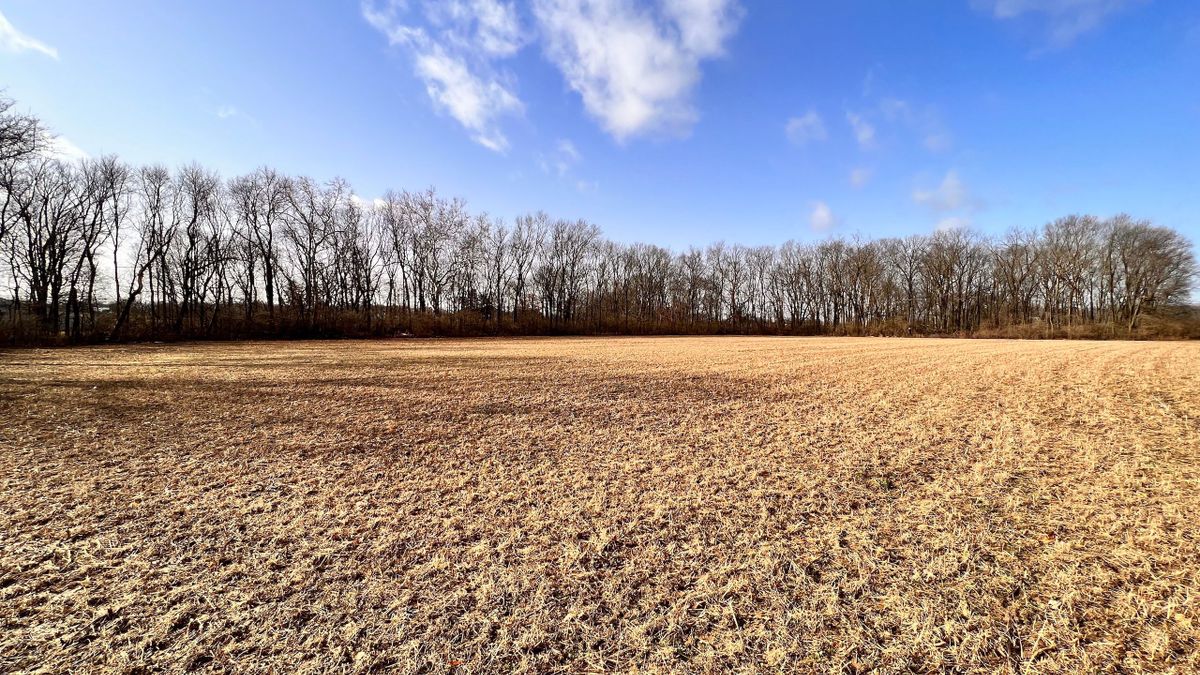 Buildable Property With Mix Of Timber & Open Land In IN | Whitetail ...