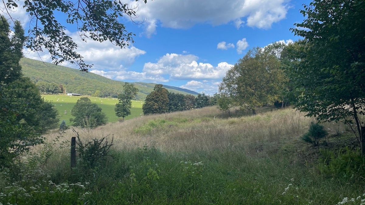 220± Acre Tract In Beautiful Pendleton County With End Of The Road ...