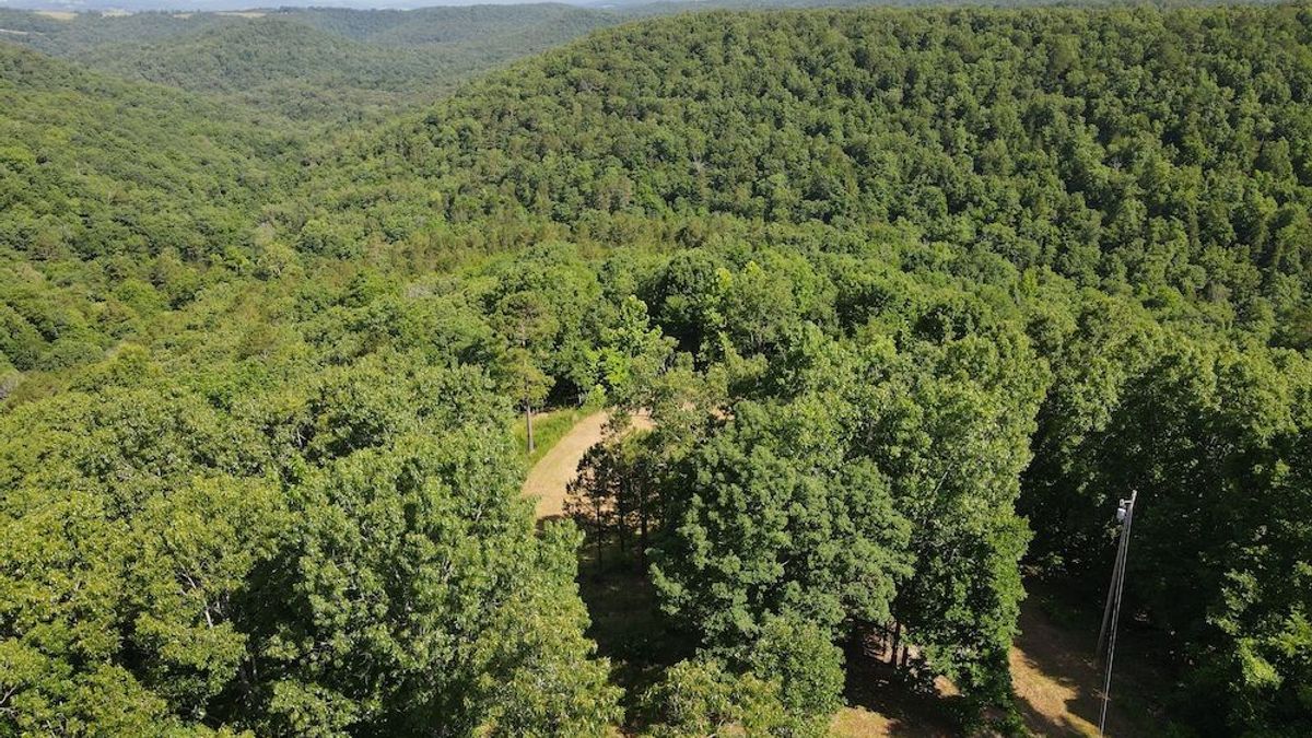 Wooded Building Tract With Breathtaking Mountain Views | Whitetail ...