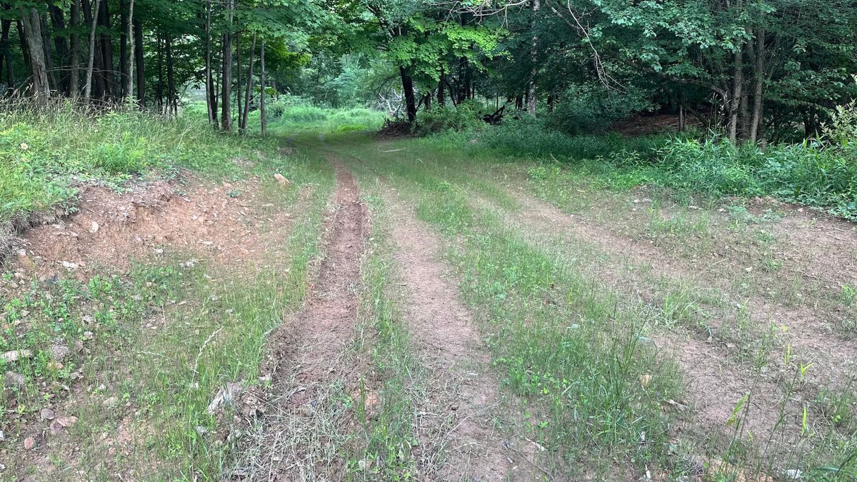 Beautiful Timber And Tillable Land | Whitetail Properties