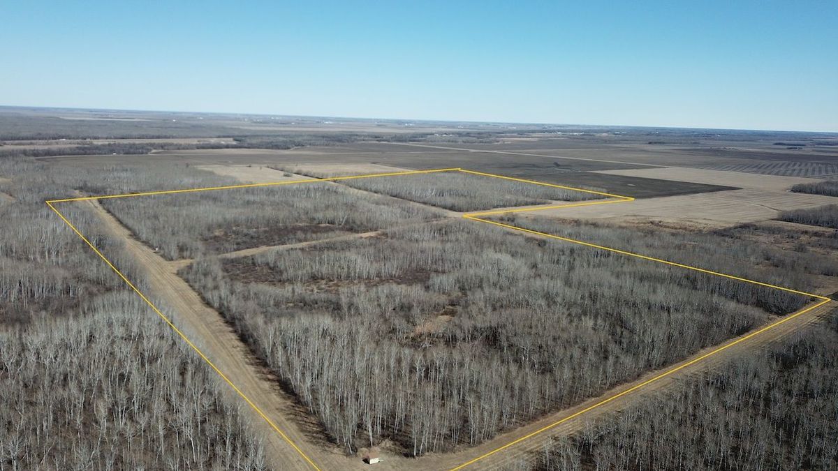 Secluded Hunting Property On A Dead-End Road | Whitetail Properties
