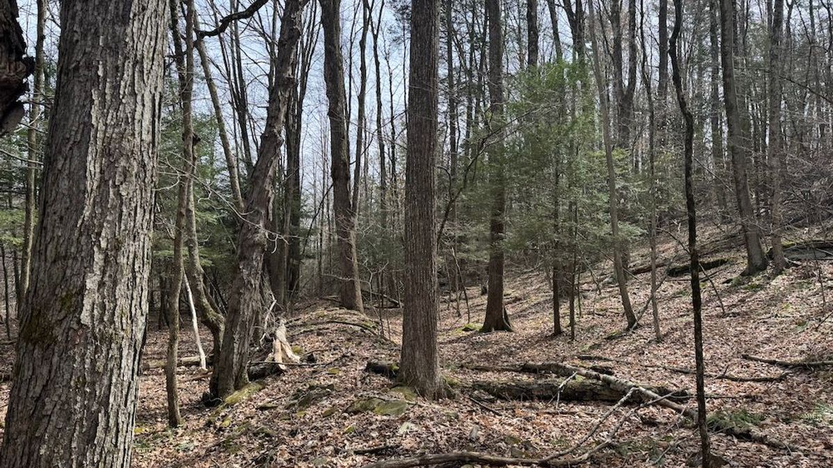 Buildable Land - Easy Access, Power, Diverse Habitat, Recreation ...