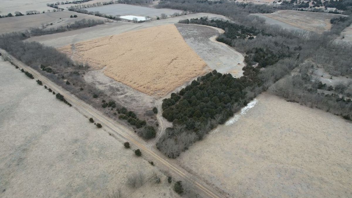 Turnkey Combo Farm With Creek Bottom, CRP And Crops | Whitetail Properties