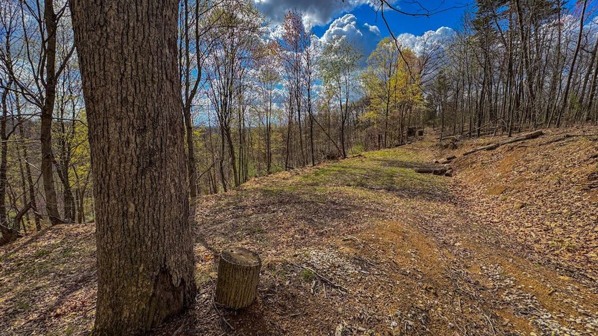 Excellent Hunting Tract On Rose Hill Outside Of Elizabeth | Whitetail ...