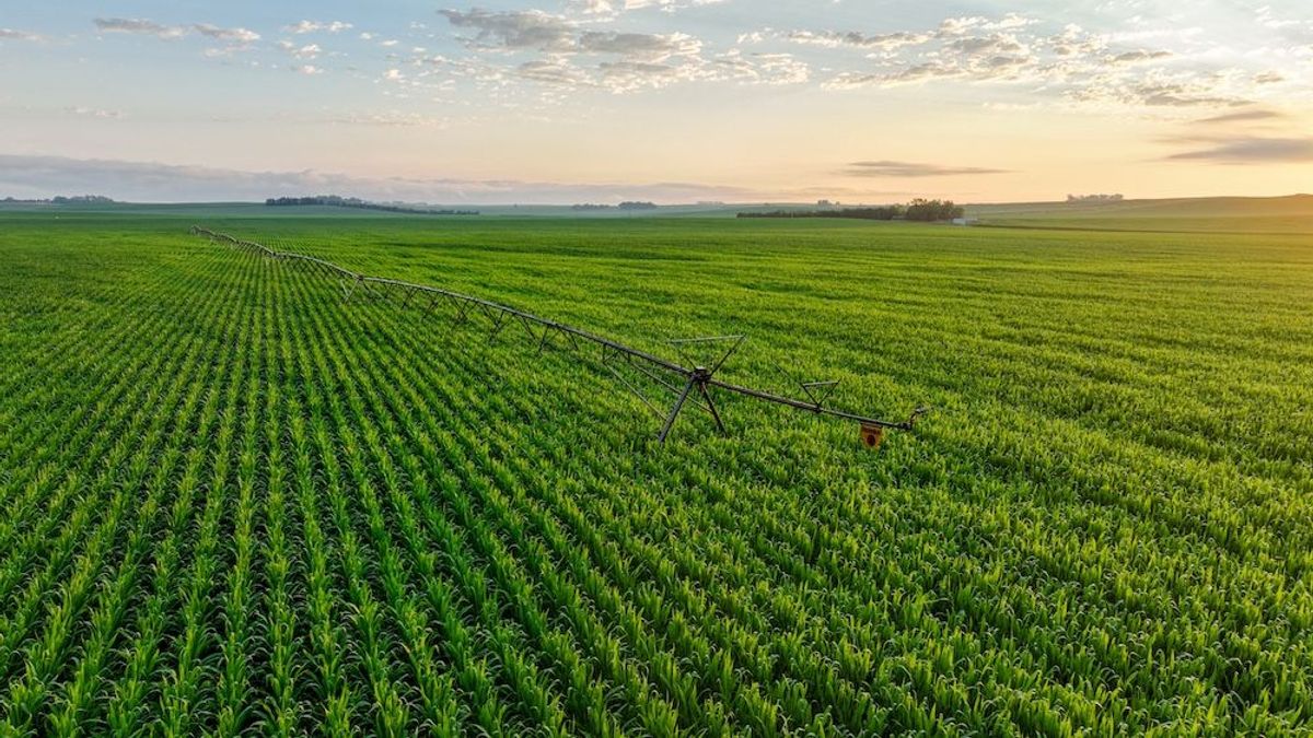 Prime Cedar & Dixon County Irrigated Farmland | Whitetail Properties