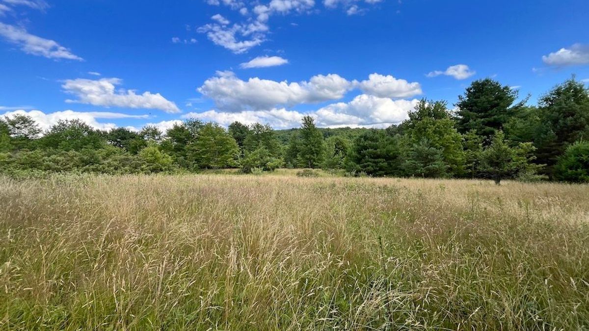 A Sprawling Segment Of Land With Power And Possibilities, Tract 6 ...