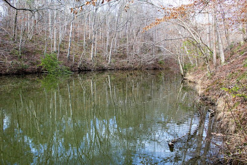 Shepherd Bend At Black Warrior River, A Hunting, Recreational, Timber ...