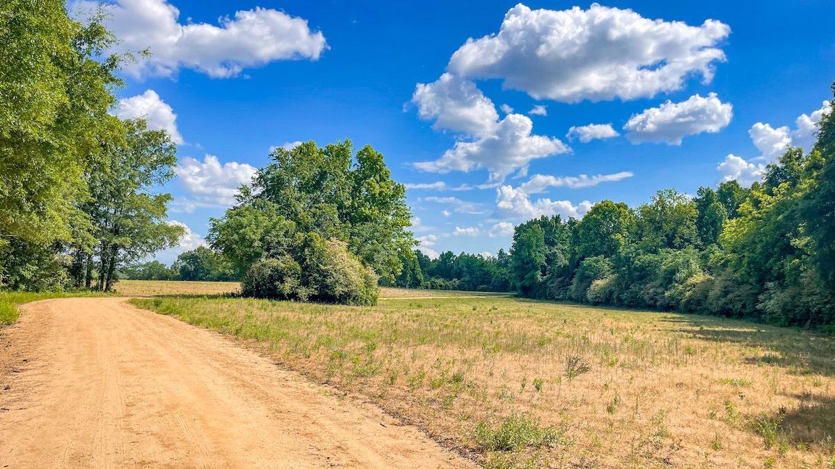 Private Rural Tract With Hidden Field | Whitetail Properties
