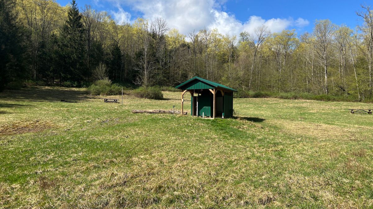 Camp Location Surrounded By Trees | Whitetail Properties
