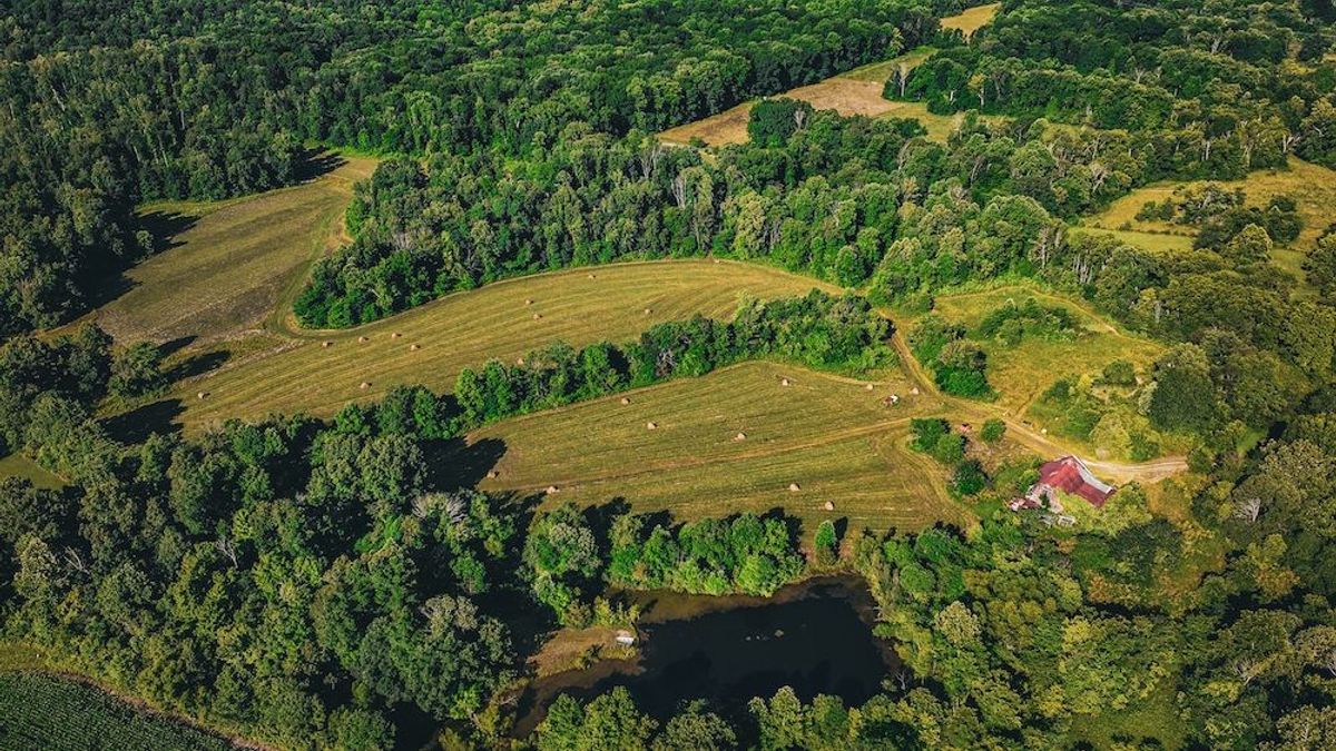 Awesome Hunting, Recreational And Buildable Tract Of Land In A Prime ...
