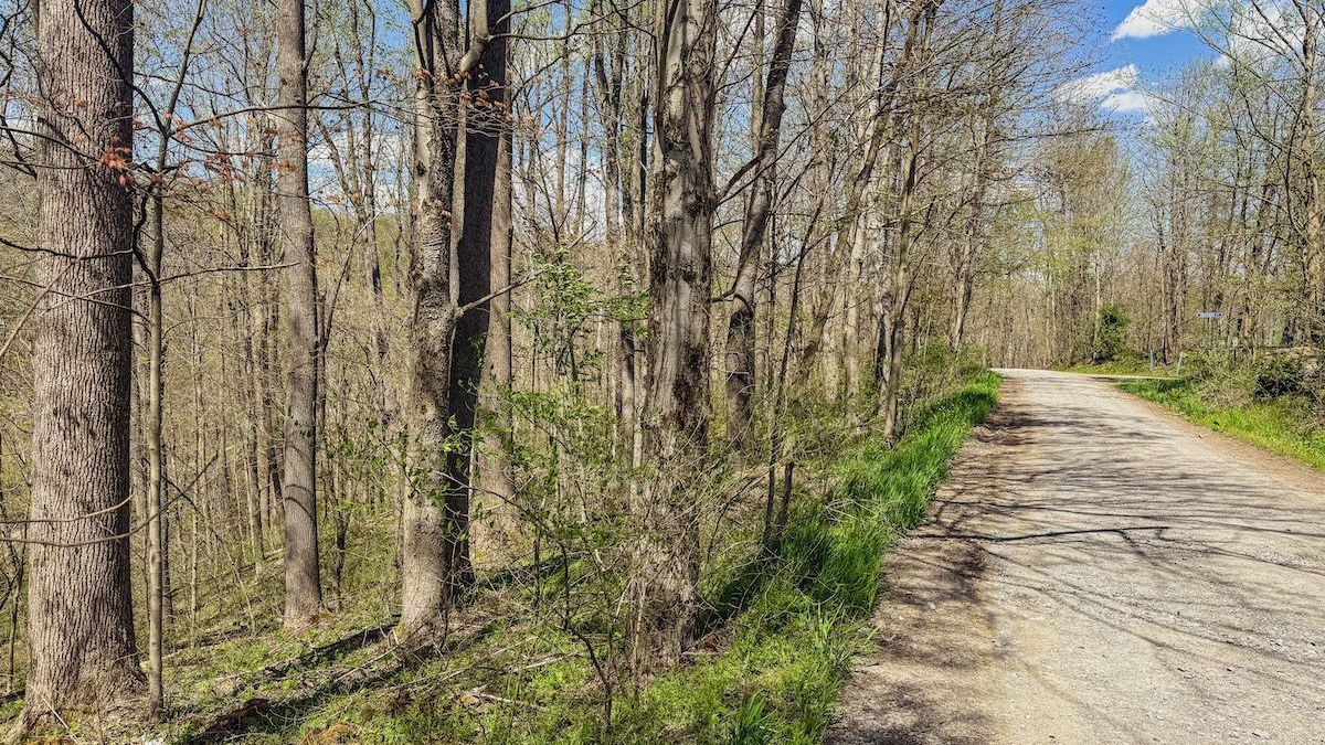 Small Recreational Tract Building Lot | Whitetail Properties