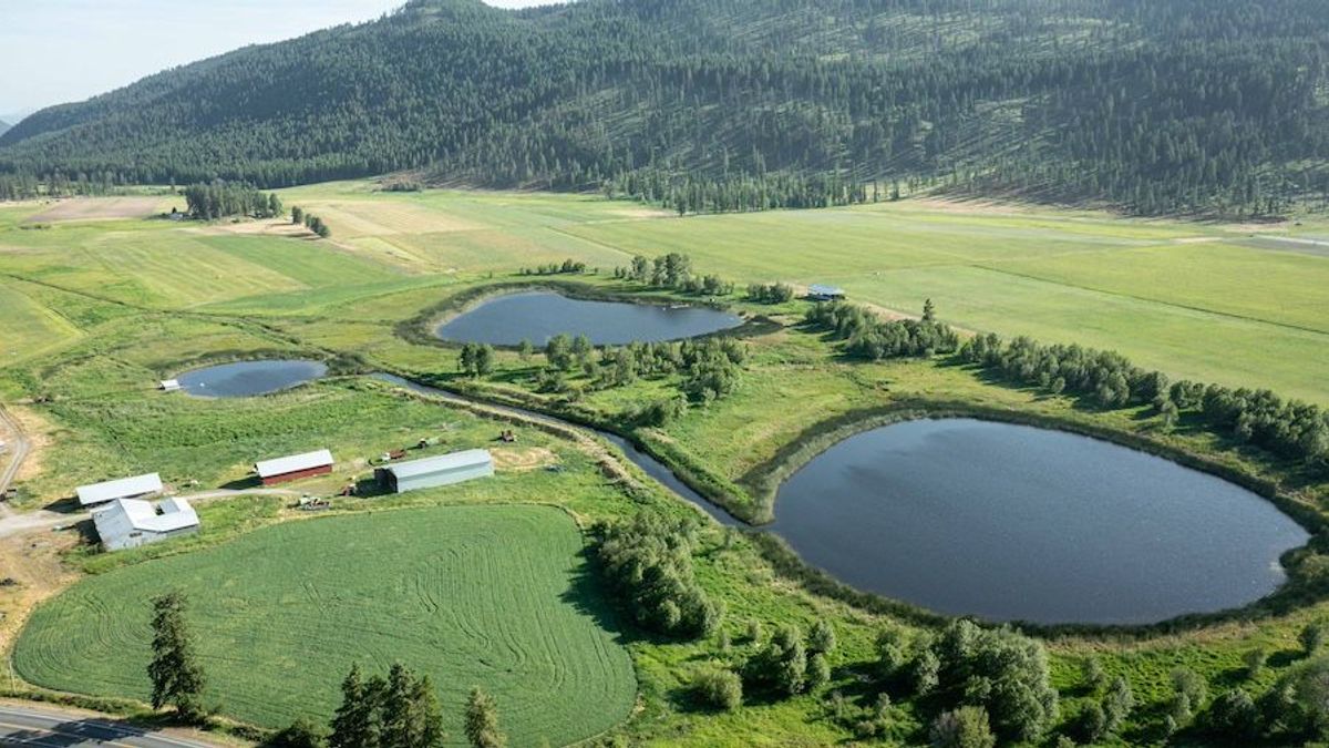 Large Multi-Generational Farm With Established Hay Business Near ...