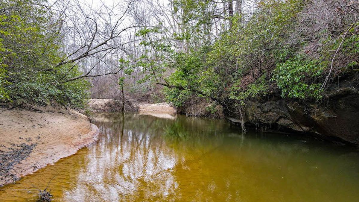Recreational Tract Featuring Splunge Creek And Excellent Deer And ...