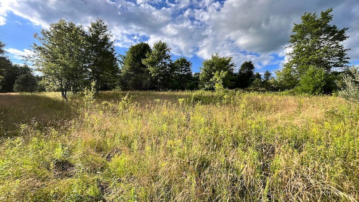 Open Pasture Land, Water Source And Level Land With Abundant Access ...