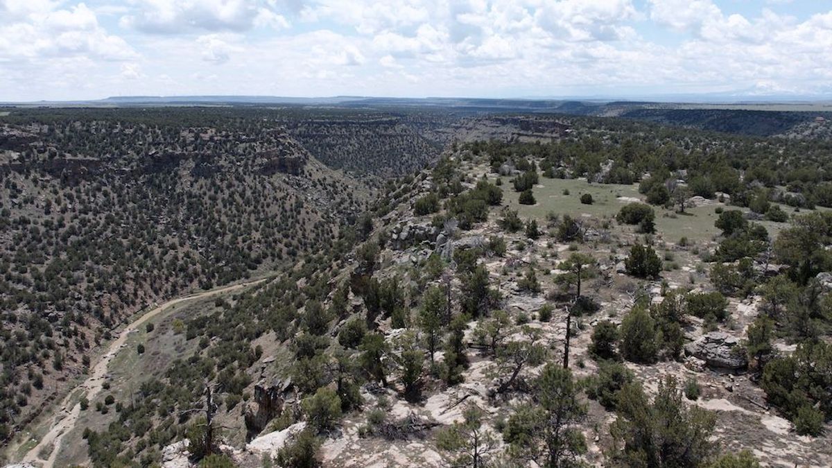 Secluded Turkey Ridge Ranch Retreat Bordering BLM | Whitetail Properties