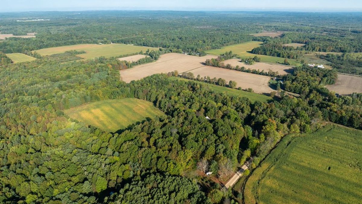 Large Hunting Farm With Great Access | Whitetail Properties