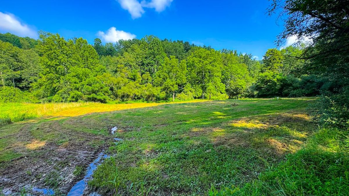 Secluding Building Lot On Lewis Doddridge Line | Whitetail Properties