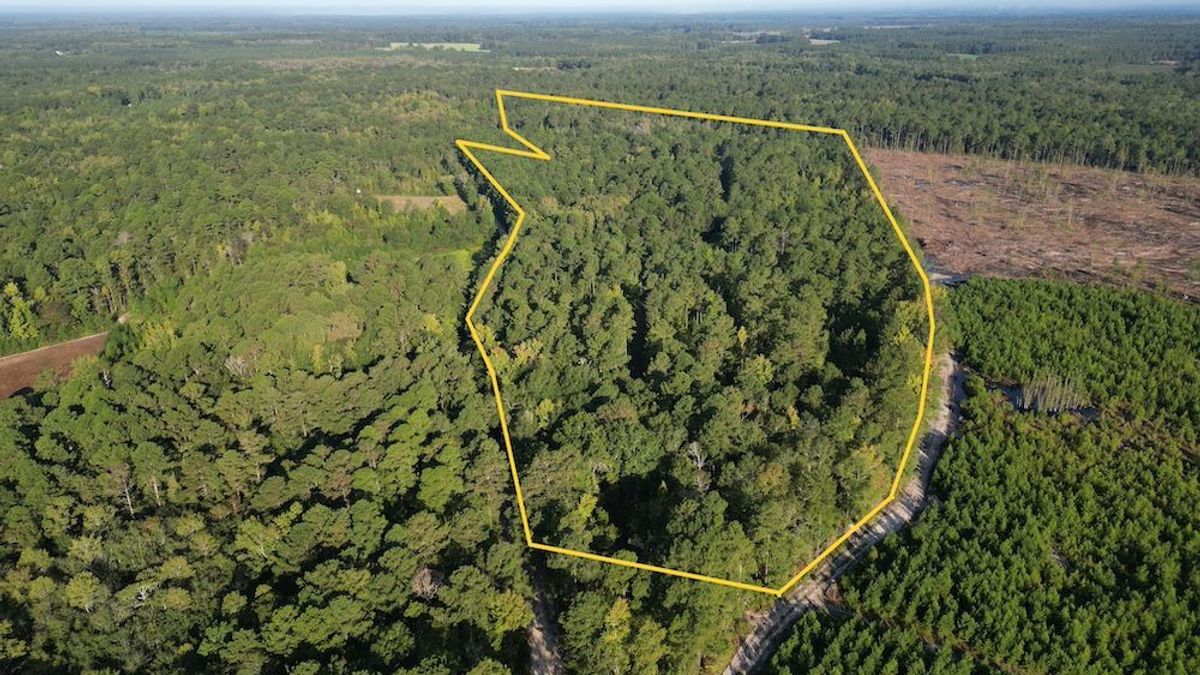 Prime Hunting Land With Timber, Food Plots And Buildable Acreage – Over ...