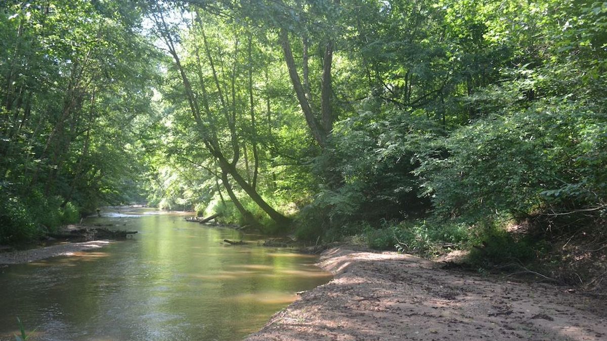 Scenic Retreat With Sandy River Frontage In Axton, VA | Whitetail ...