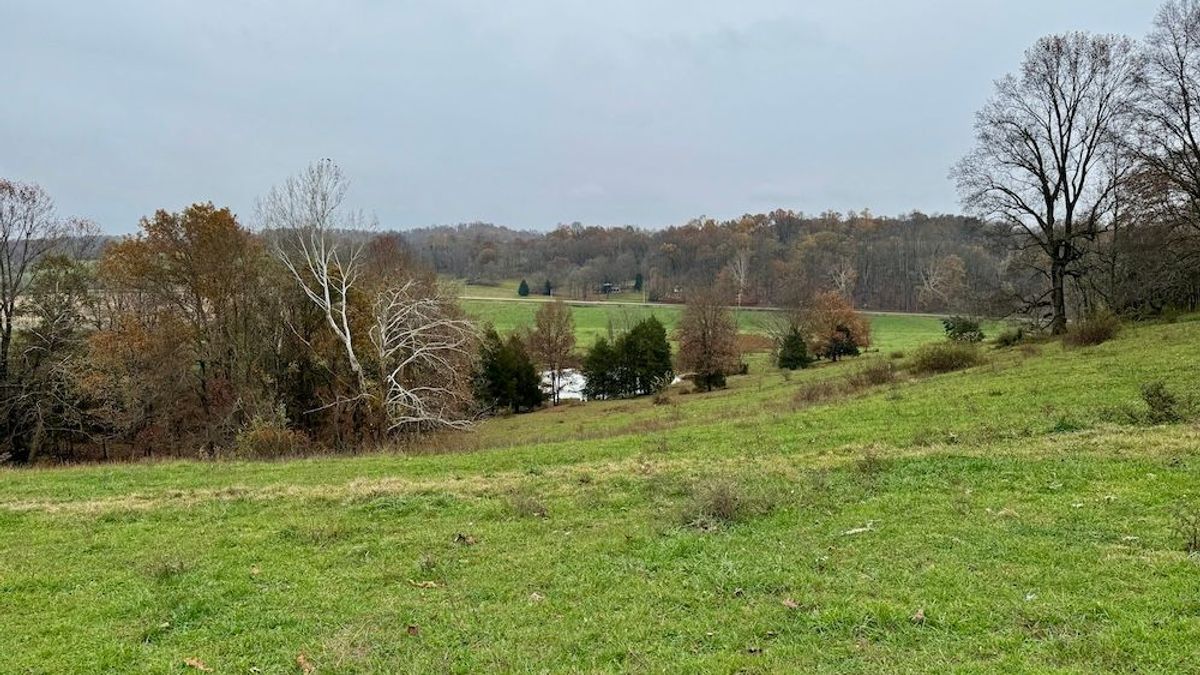 Beautiful Rolling Pasture Ground With Build Sites And Hunting (Tract 4 ...