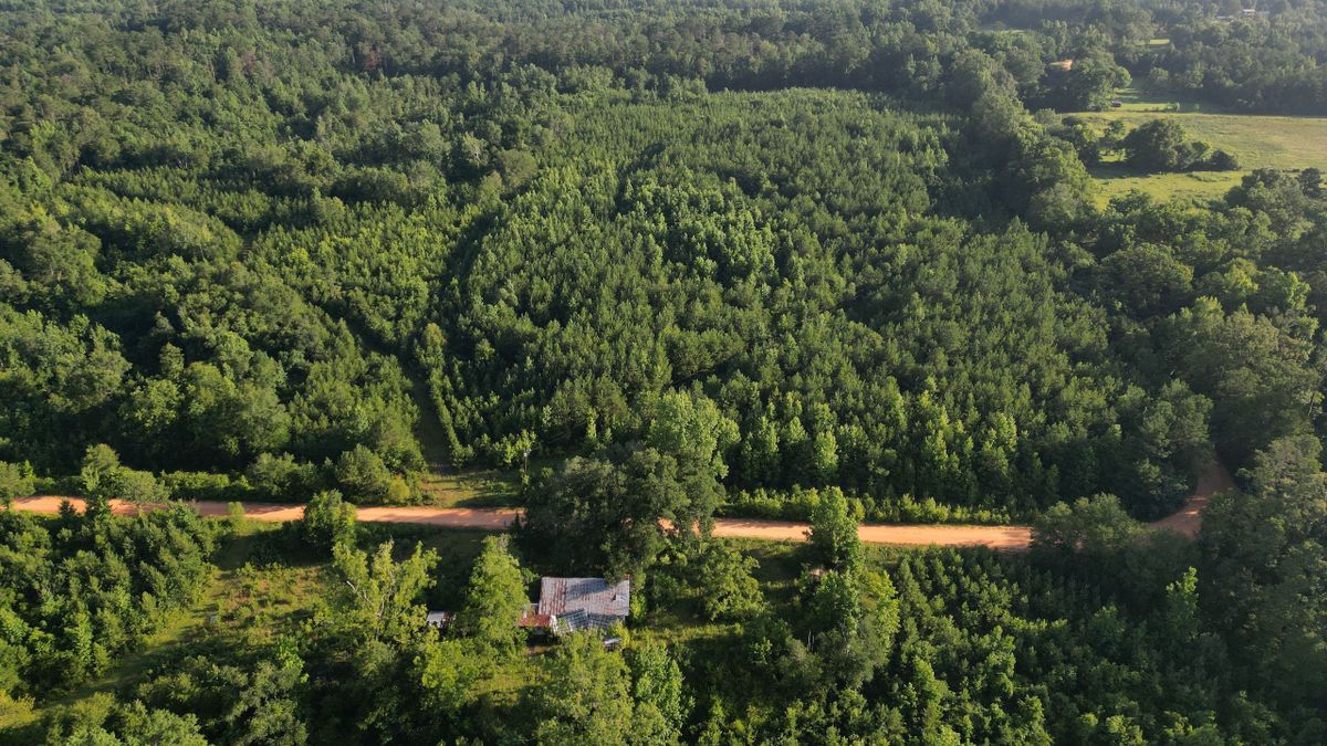 Hunting And Timber Tract With County Road Access And Old Home Place ...