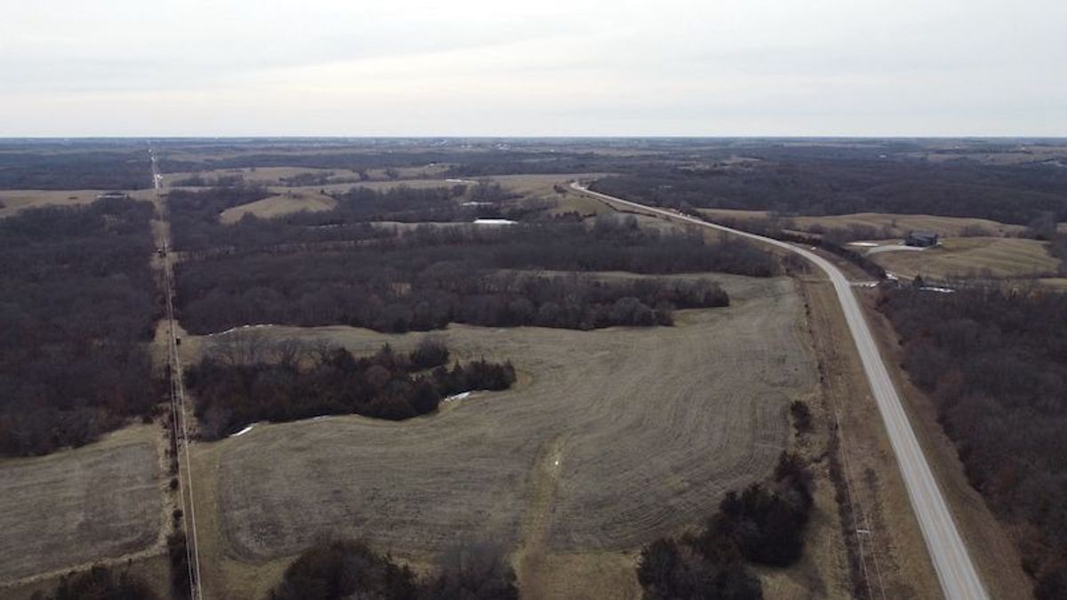 Recreational Farm With Multiple Build Sites | Whitetail Properties