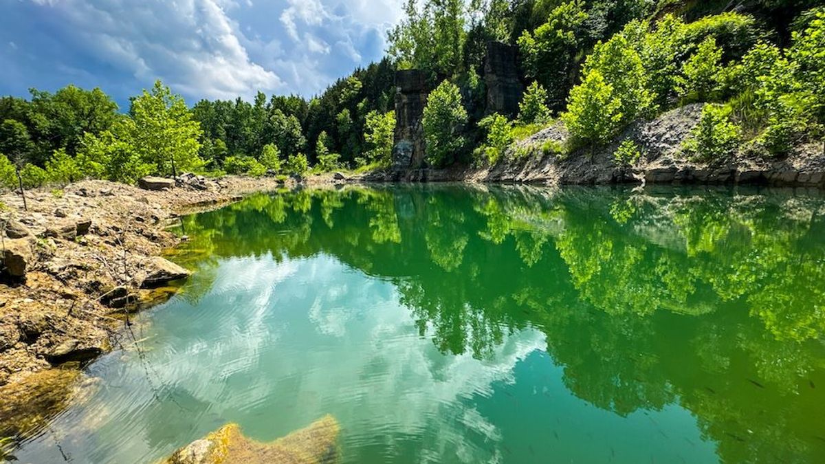 Abandoned Rock Quarry With Marketable Timber And Road Frontage ...