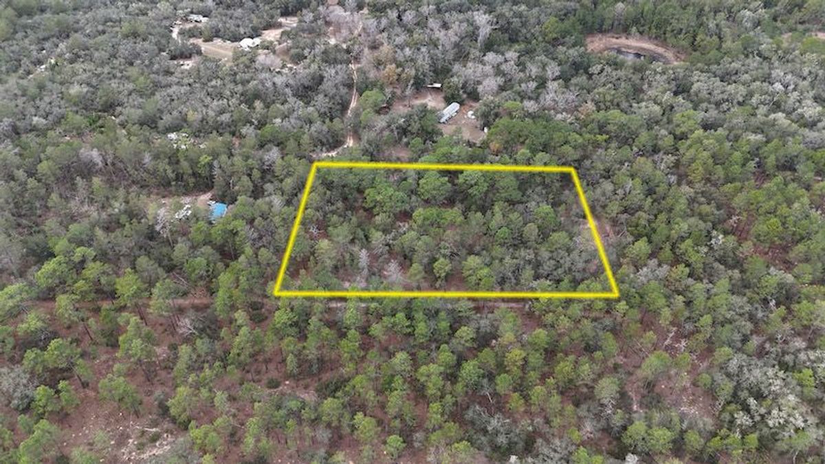 Freedom Bordering The National Forest | Whitetail Properties