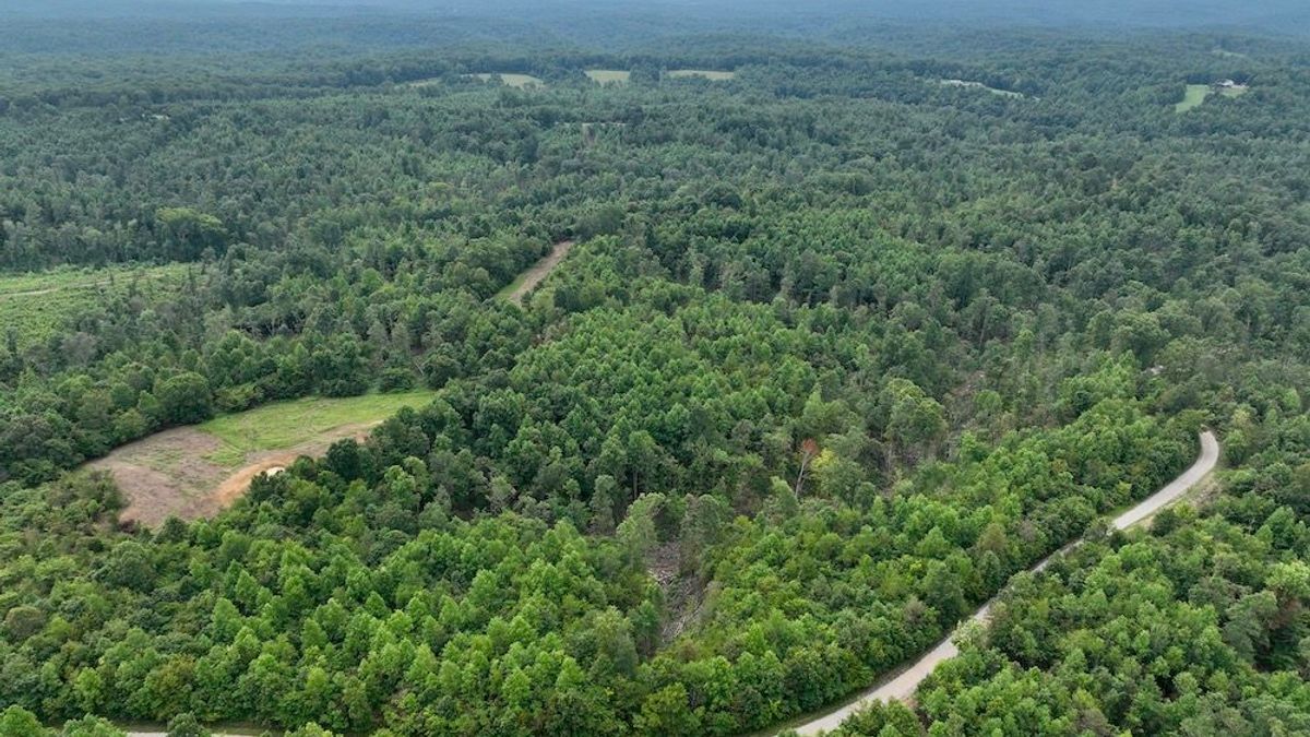 Mostly Timber Hunting Tract, Tract 5 | Whitetail Properties