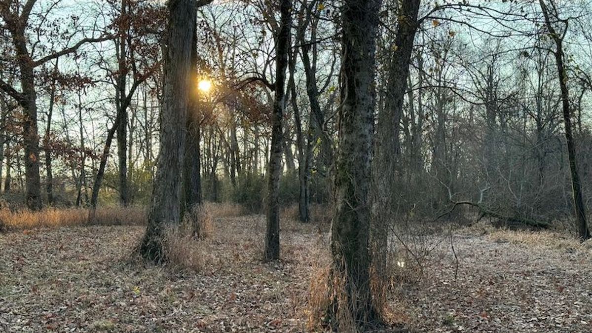 Bayou Bartholomew Hunting Tract B | Whitetail Properties