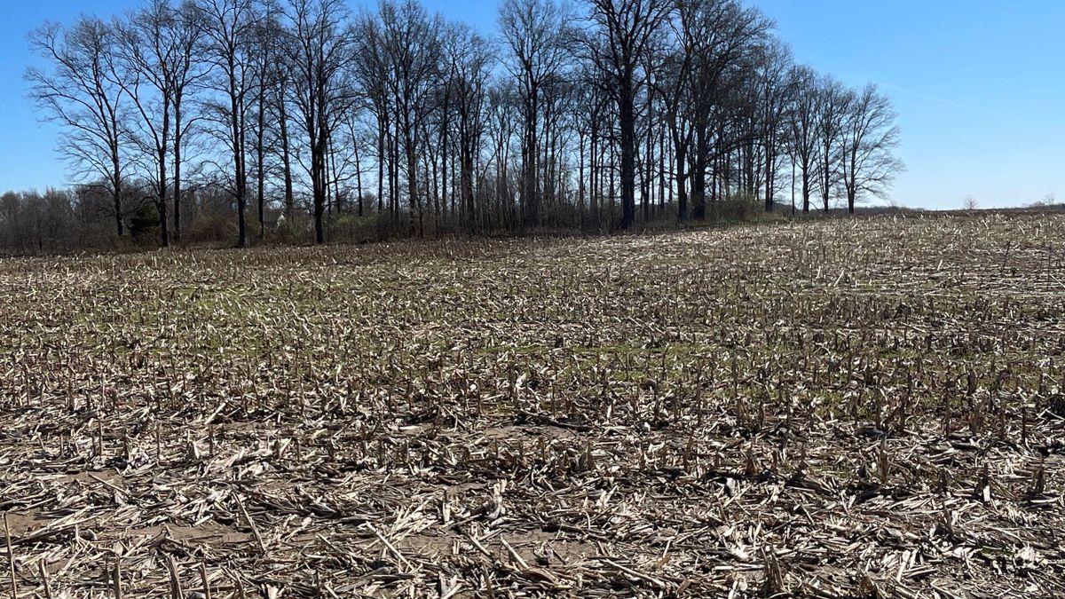 Nice Tillable Farm With Very Little Slope And Lots Of Road Frontage In ...