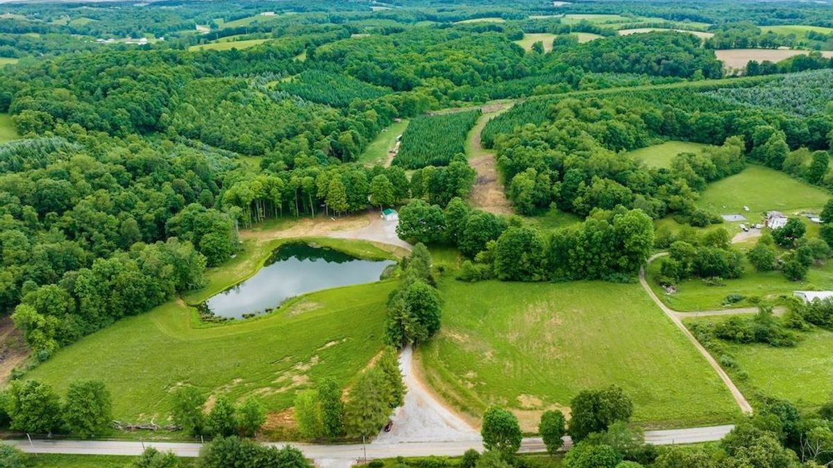 Turn-key Hunting And Recreational Property With A Newly Remodeled Home ...