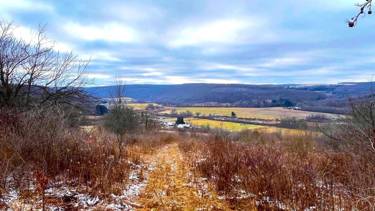 Scenic Hilltop Property With Pond For Hunting, Cabin, Or Camping ...