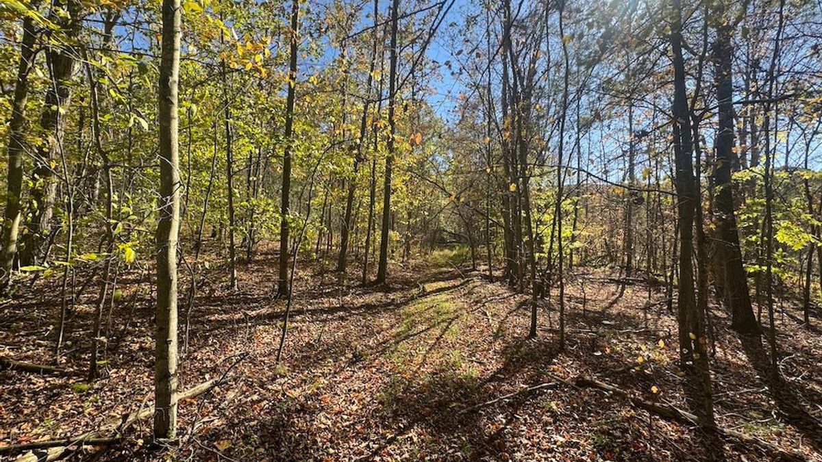 Secluded Pond Retreat Near Game Lands With Abundant Wildlife ...