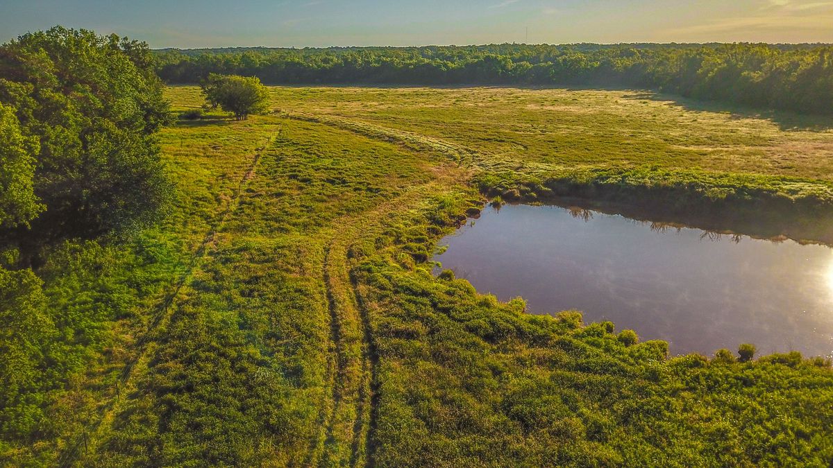Great Mixture Of Timber, Wildhorse Creek, Pond, Food Plots And Deer ...