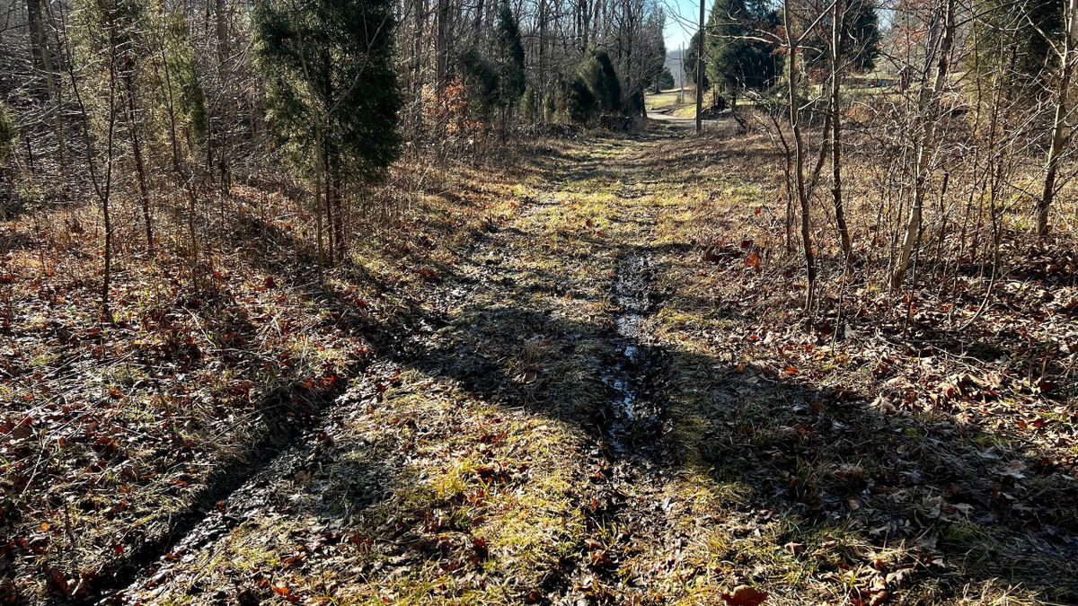 Sizable Property With Build Site, Great Hunting, And Adjoins Hoosier ...